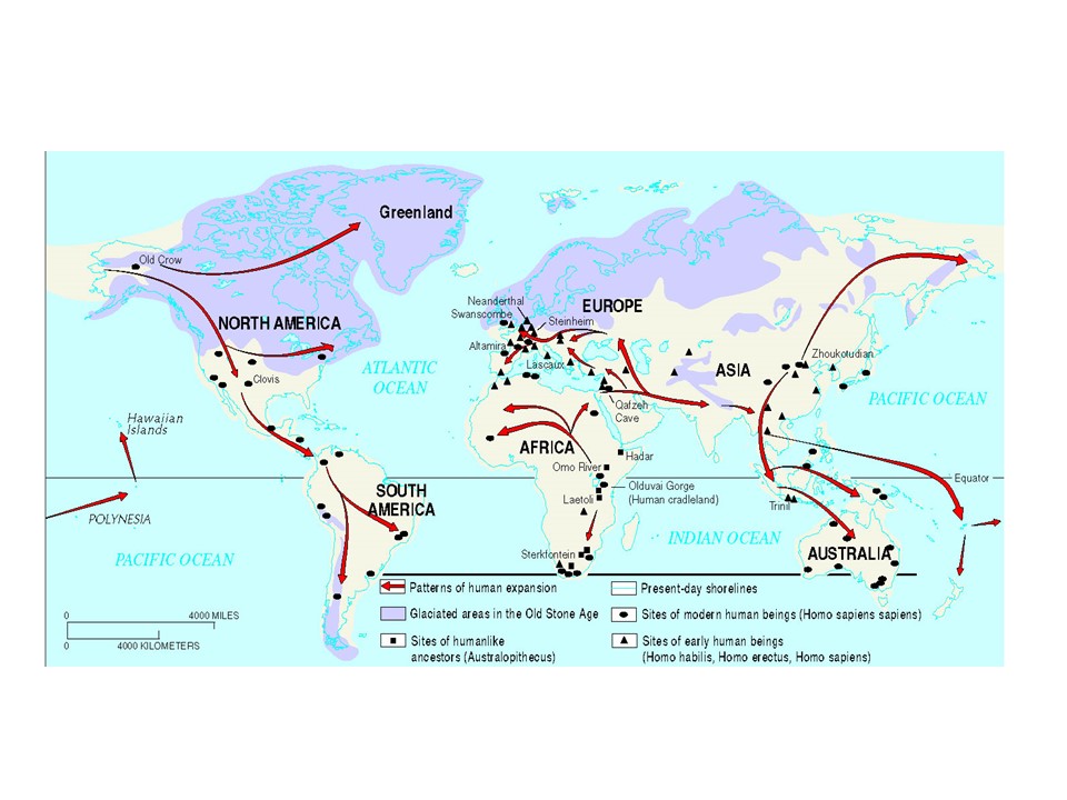 History Of Early Human Migration